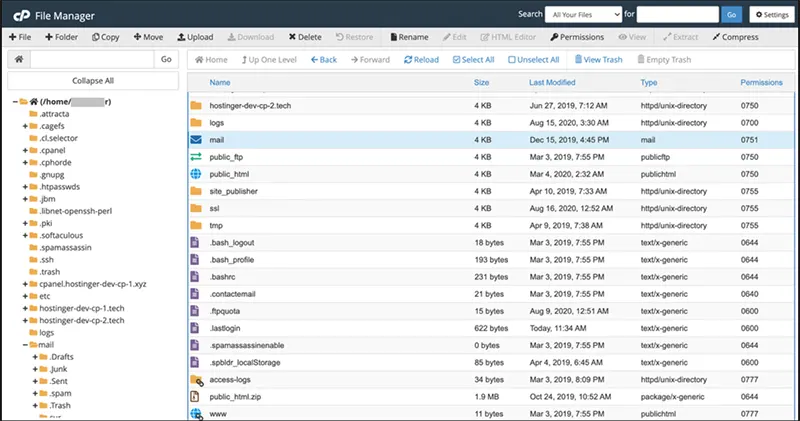How to Download Emails from cPanel Account?